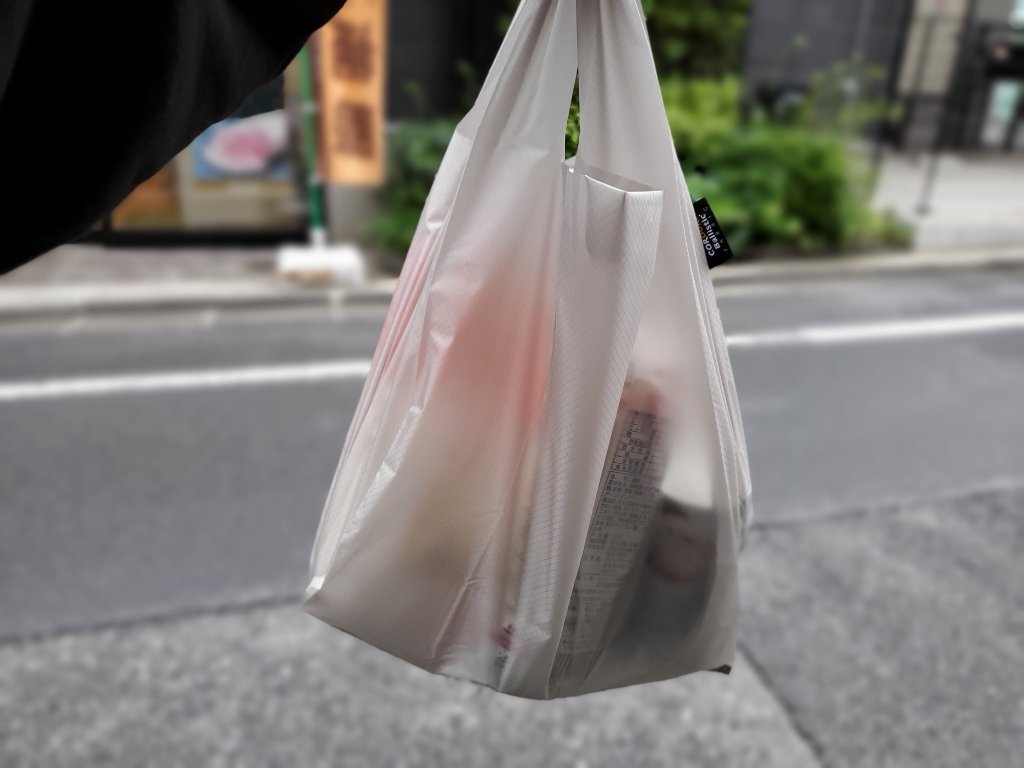 毎日持てるほど携帯性抜群のエコバック「Regile 」は男性におすすめ│amedia-online